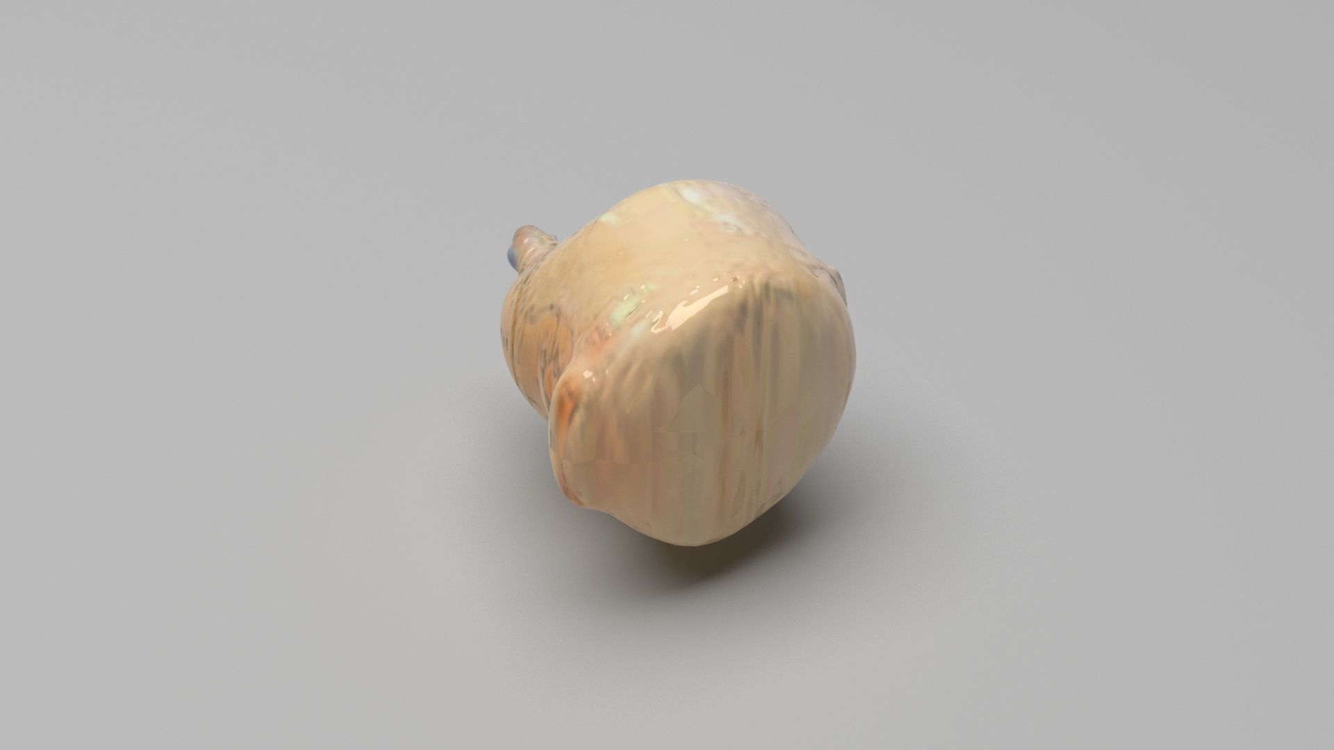 Human Urinary Bladder 3D model | CGTrader