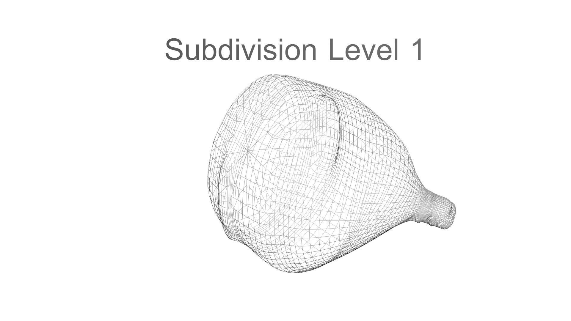 Human Urinary Bladder 3D model | CGTrader