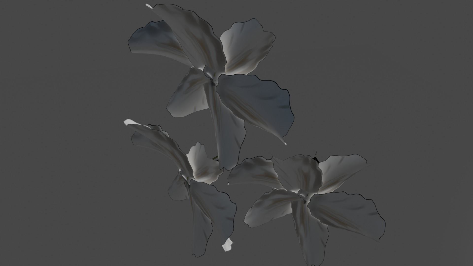 Lilly flower free VR / AR / low-poly 3D model | CGTrader