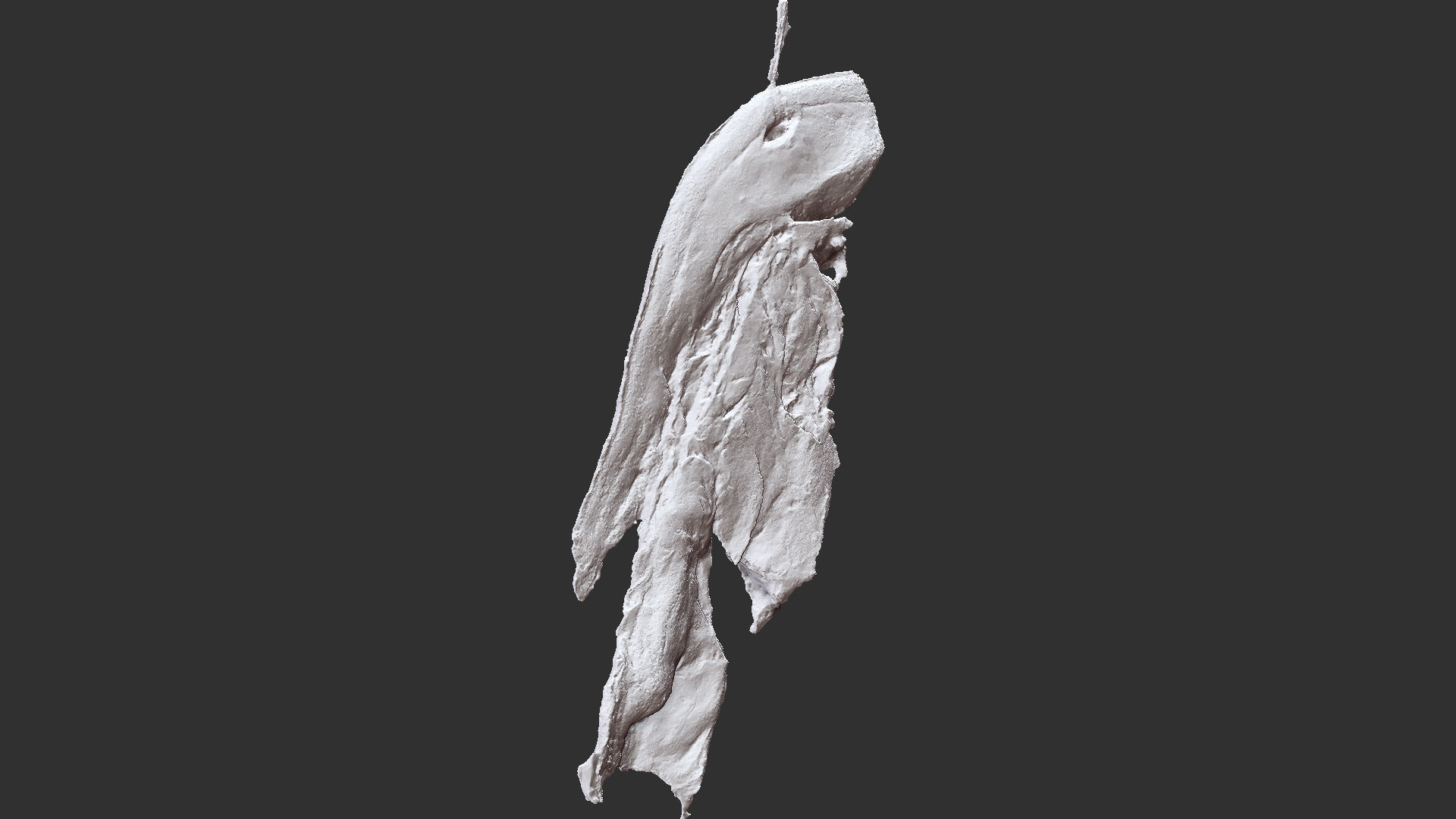 Hanging pork 3d Scan 3D model | CGTrader