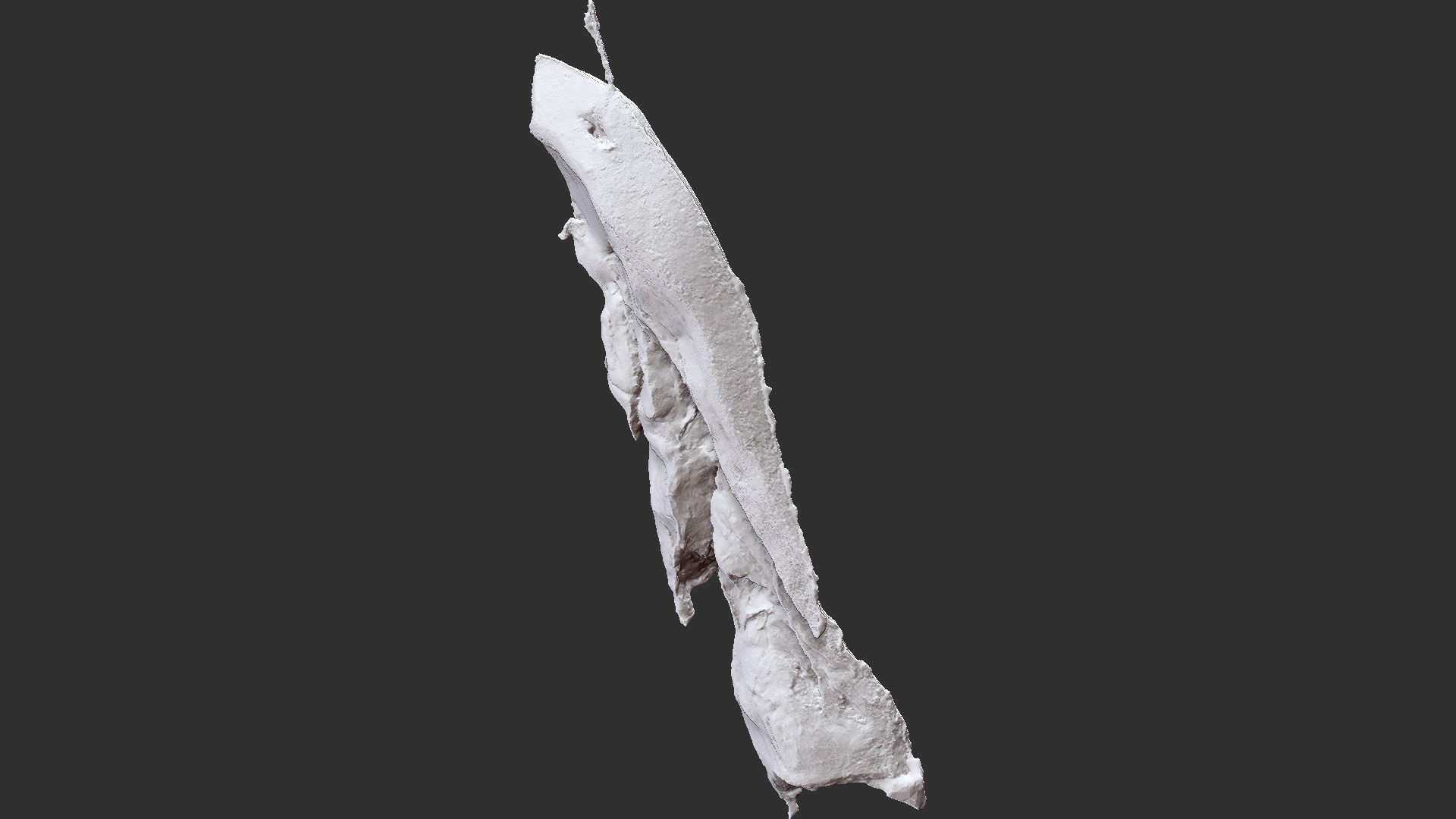 Hanging pork 3d Scan 3D model | CGTrader