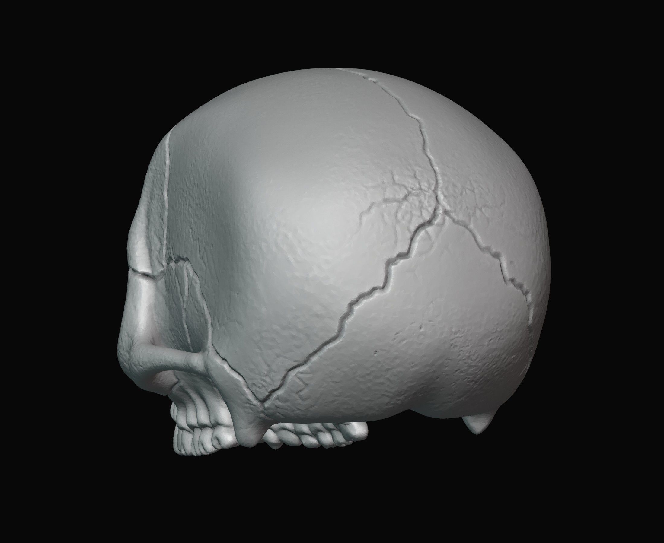 Skull Stylized 3D model 3D printable | CGTrader
