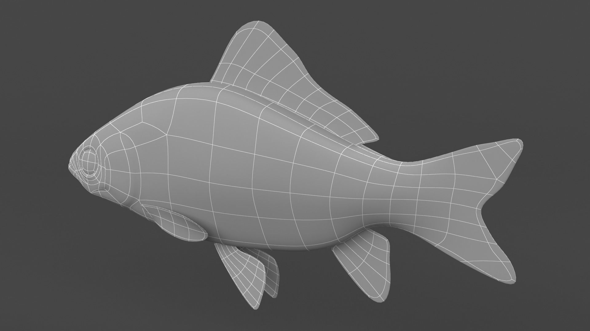 Carp Fish 3D model | CGTrader