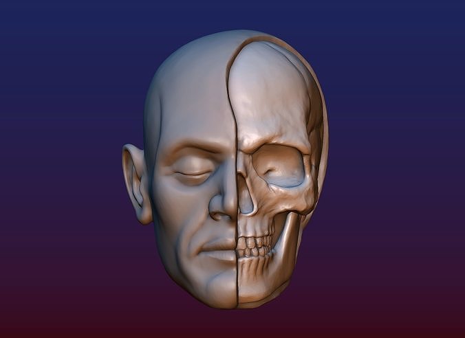 Half Face Two Face 3D model 3D printable | CGTrader