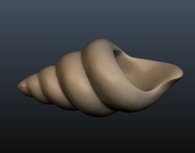 Free Shell 3D Models | CGTrader