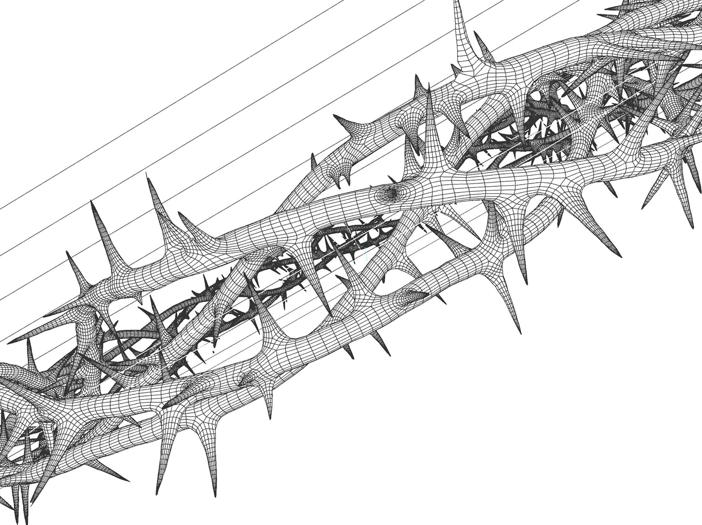 Crown Of Thorns 1 3D model | CGTrader