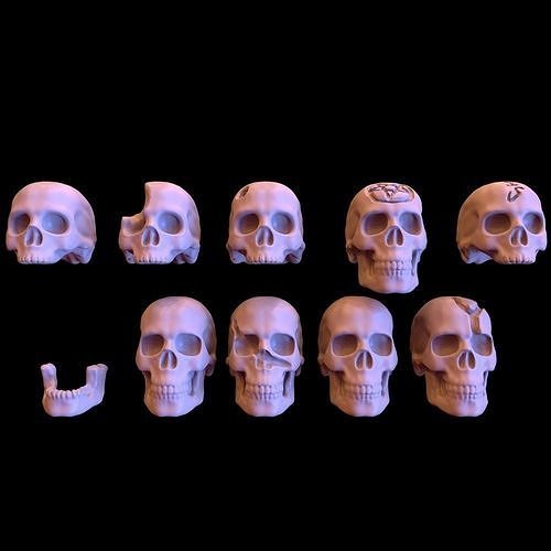 Human Skulls Pack 3D model 3D printable | CGTrader