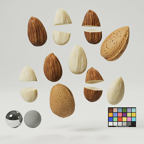 Almonds 3D model | CGTrader