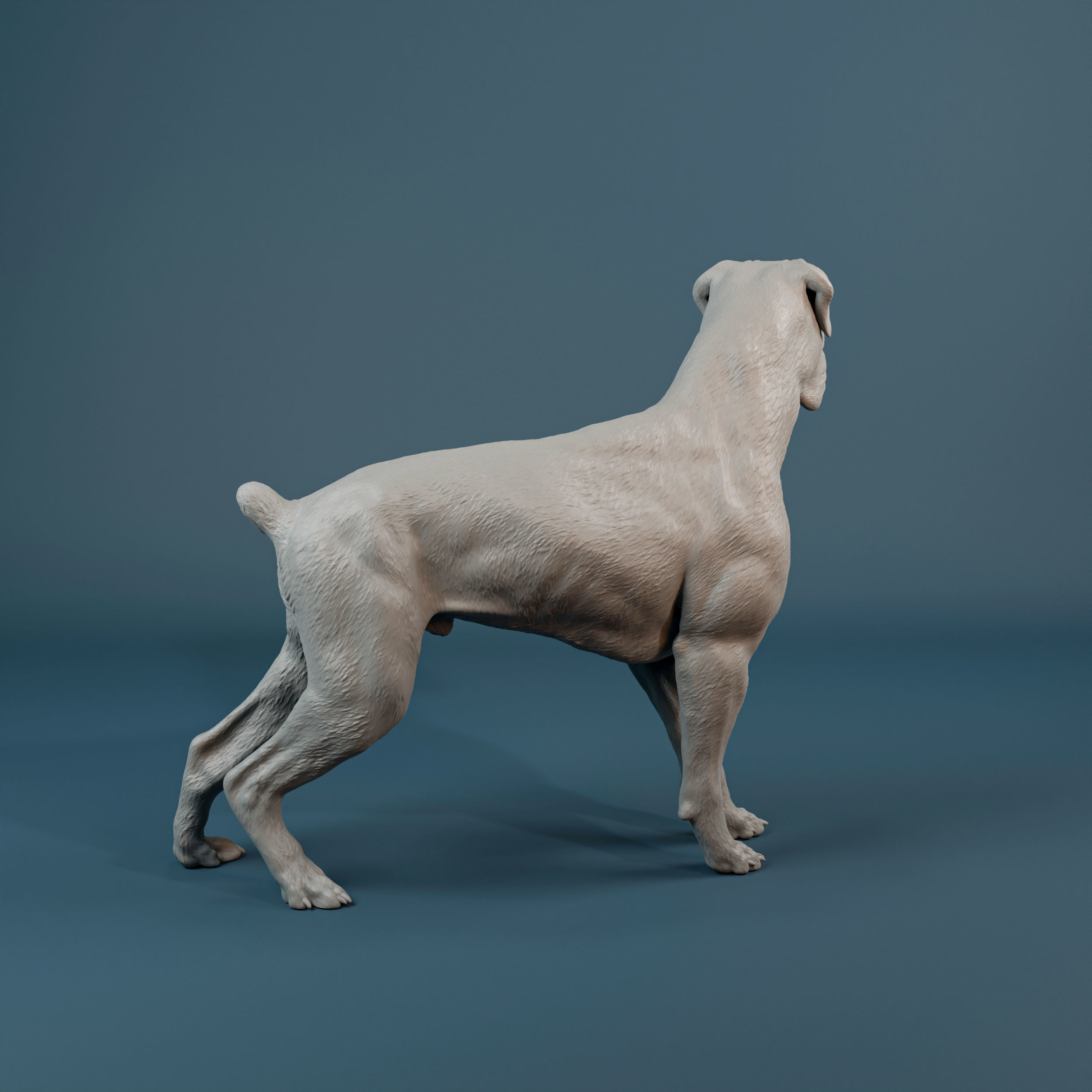 Boxer dog - pre supported 3D model 3D printable | CGTrader