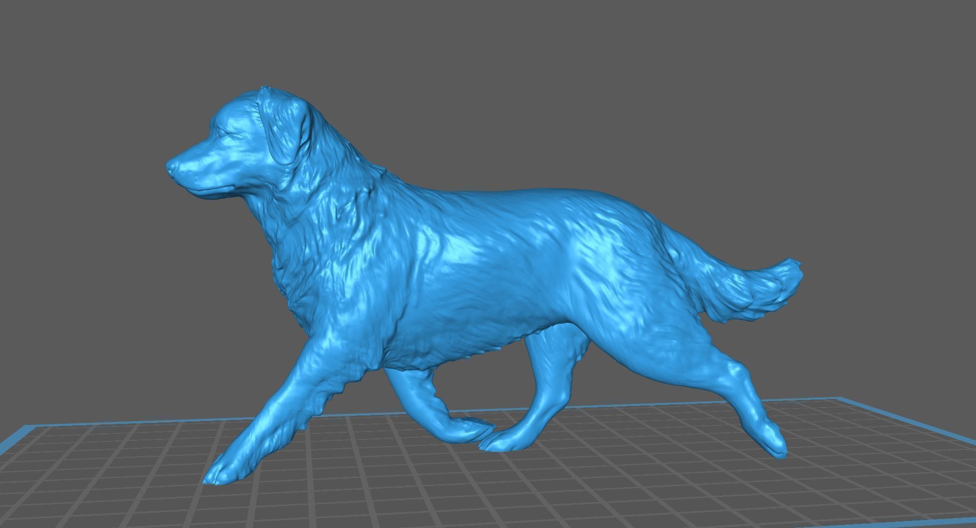Realistic Australian Shepherd dog walking trotting 3D model 3D ...