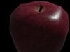3D model Low Poly Apple High Detailed Fully Custom PBR VR / AR / low ...