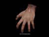 3D Model Collection Creepy body parts VR / AR / low-poly | CGTrader
