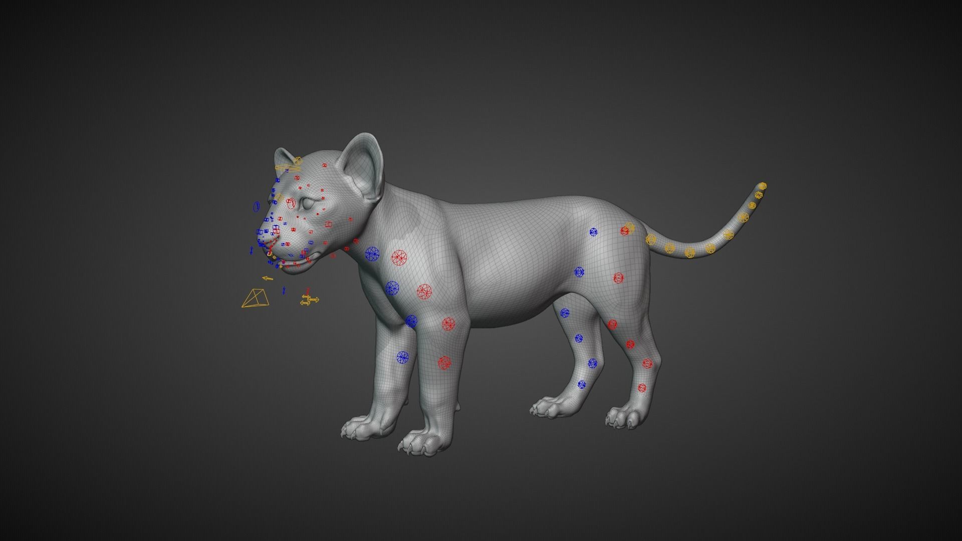 Lion Cub Animated VFX Grace 3D model animated rigged | CGTrader