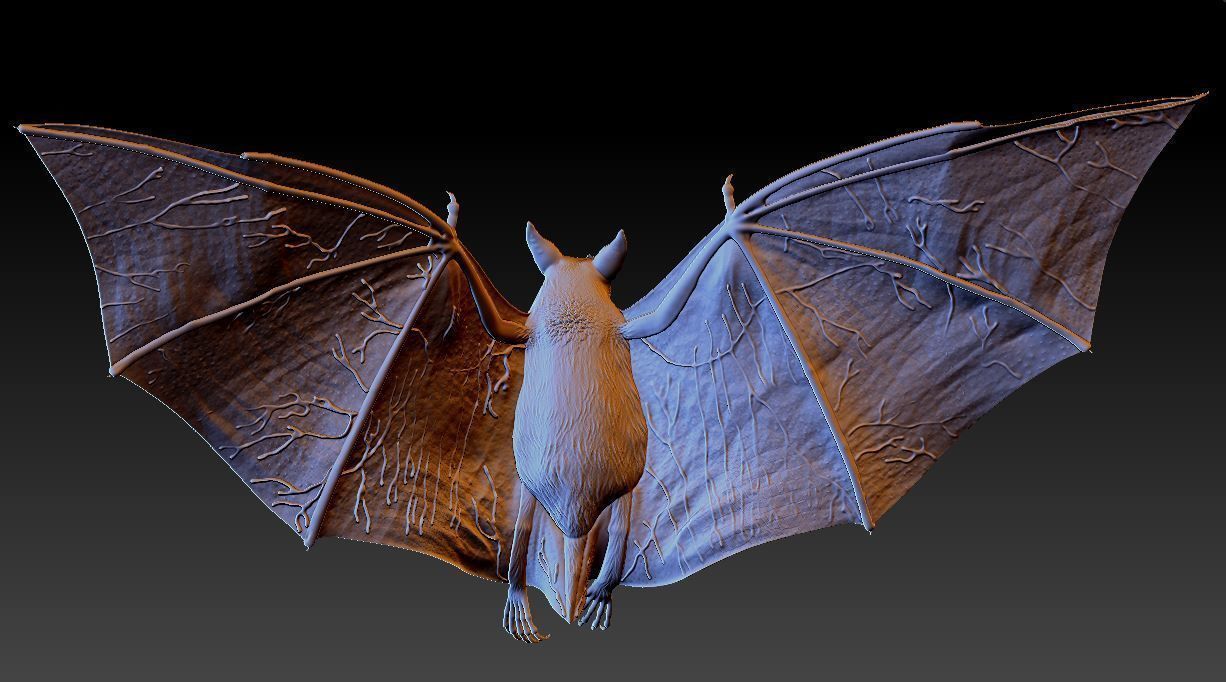 Bat vampire 3D model 3D printable | CGTrader