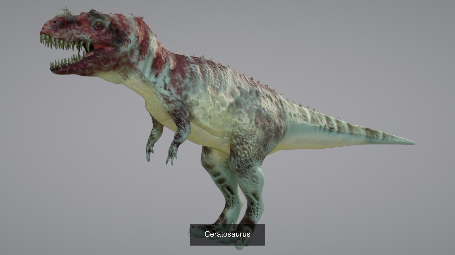 24 Dinosaur Models pack Low-Poly 3D model 3D Model Collection | CGTrader