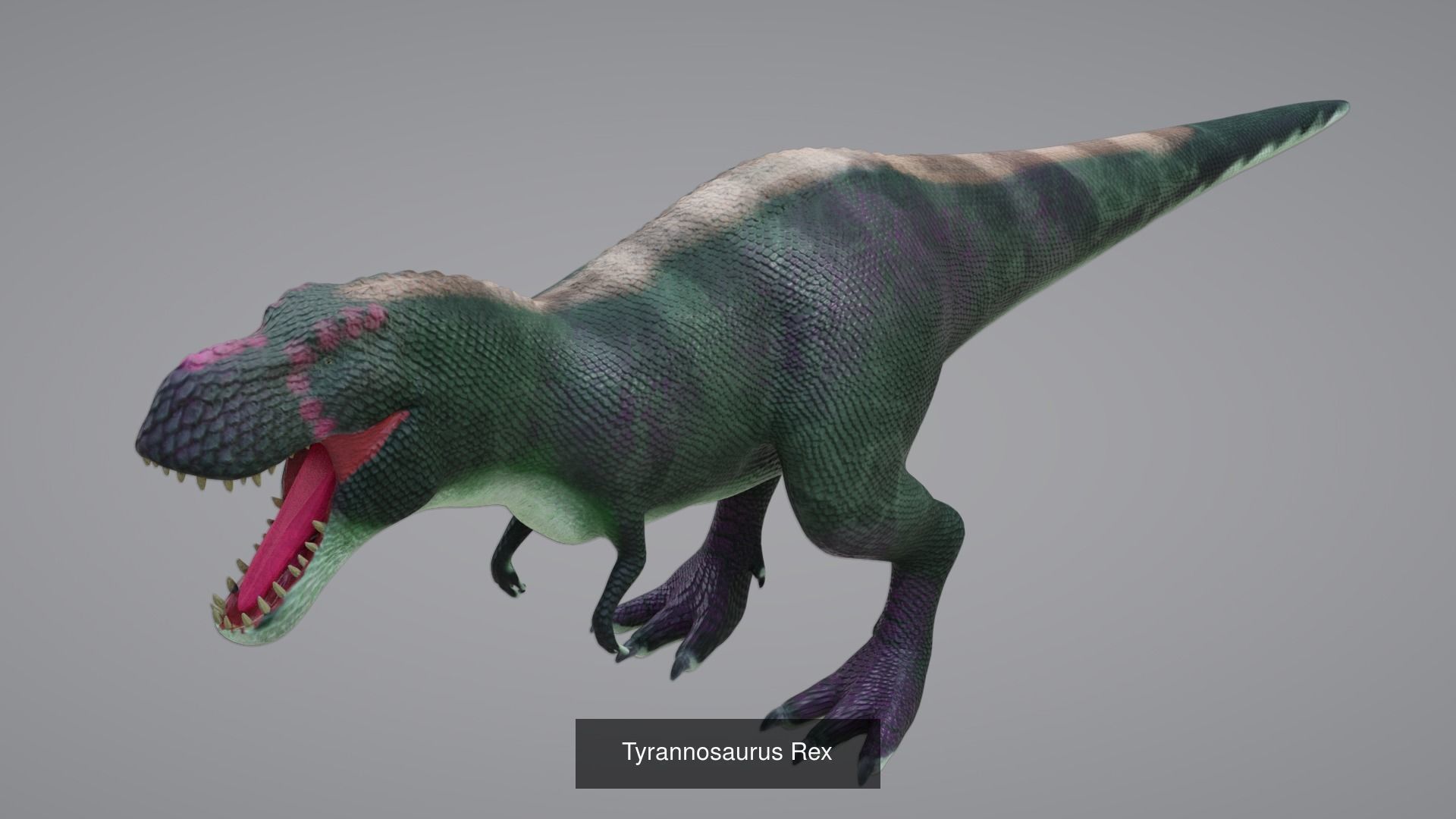 24 Dinosaur Models pack Low-Poly 3D model 3D Model Collection | CGTrader