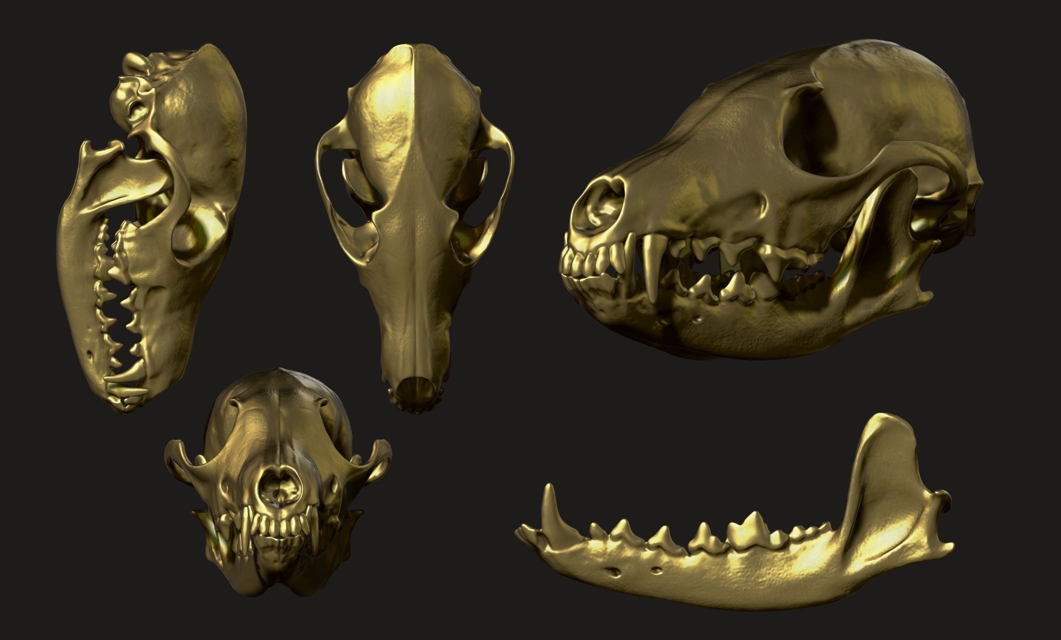 European Fox Skull - Vulpes vulpes - CNC 3D model 3D printable | CGTrader