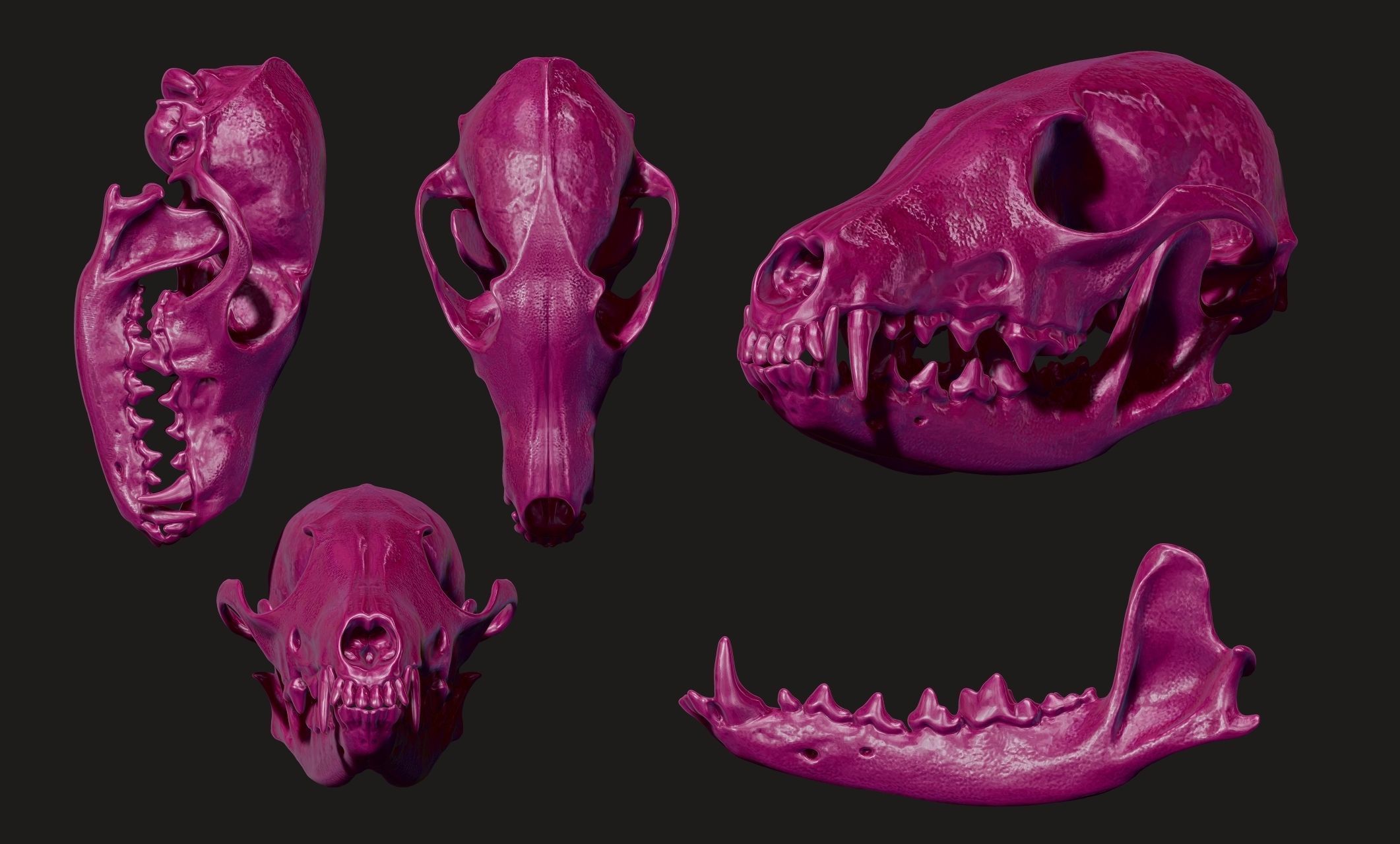 European Fox Skull - Vulpes vulpes - CNC 3D model 3D printable | CGTrader