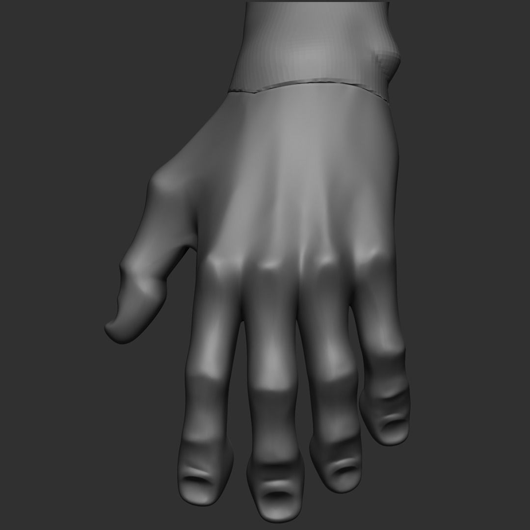 Stylized Arm 3D model | CGTrader