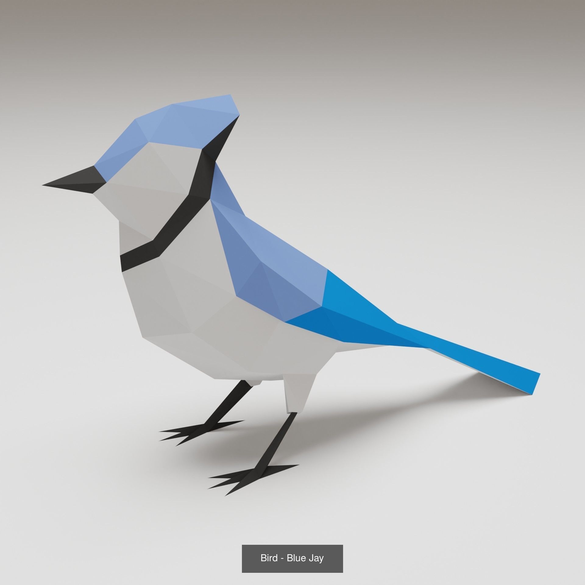 Printable Birds 3D Model Collection | CGTrader