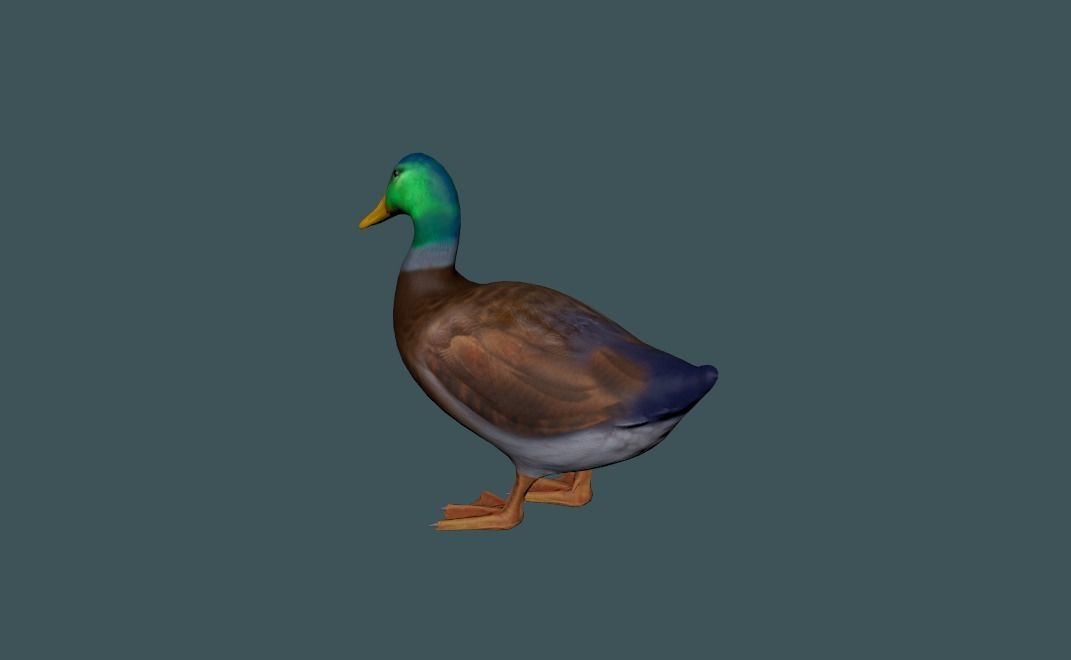 3D model Duck Animated VFX Grace Low-poly VR / AR / low-poly | CGTrader