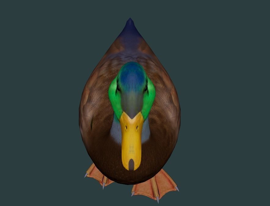 3D model Duck Animated VFX Grace Low-poly VR / AR / low-poly | CGTrader