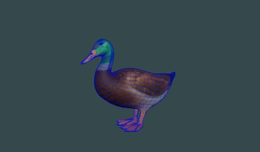 3D model Duck Animated VFX Grace Low-poly VR / AR / low-poly | CGTrader