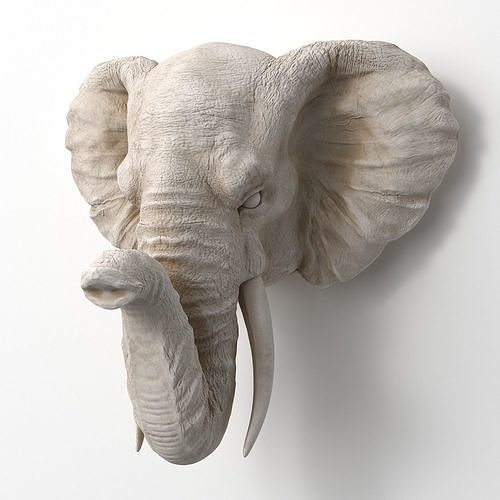 Elephant Taxidermy
