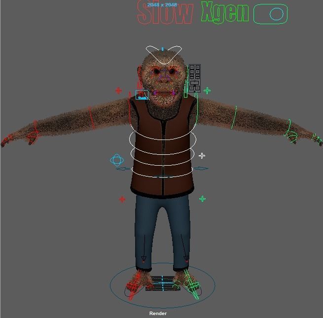 Cartoon Monkey Rigged 3D model rigged | CGTrader