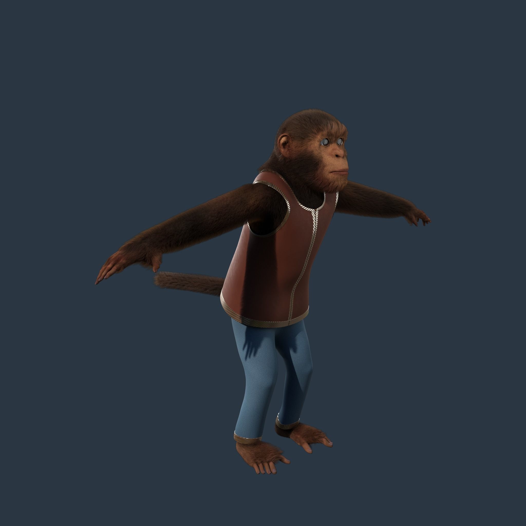 Cartoon Monkey Rigged 3D model rigged | CGTrader