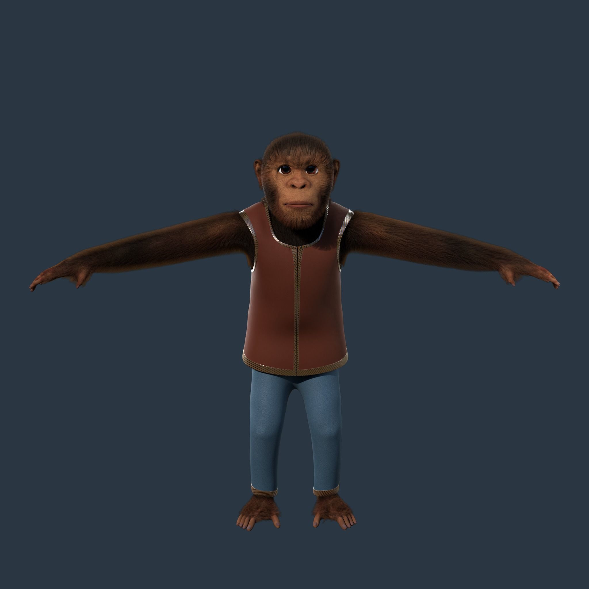 Cartoon Monkey Rigged 3D model rigged | CGTrader