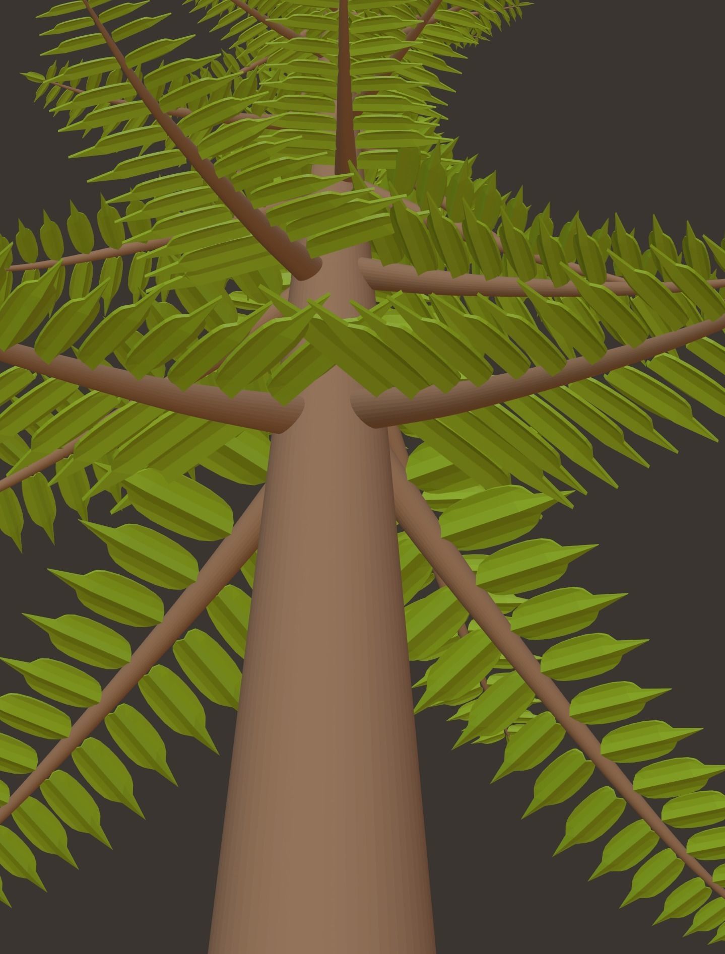 CHEED TREE FIR TREE PINE TREE 3D model | CGTrader