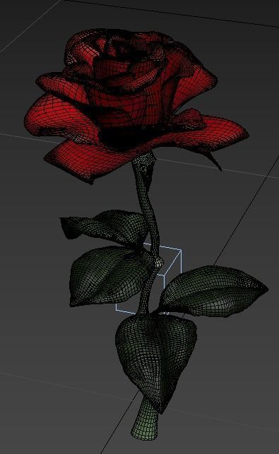 Rose 3D Model 3D model | CGTrader