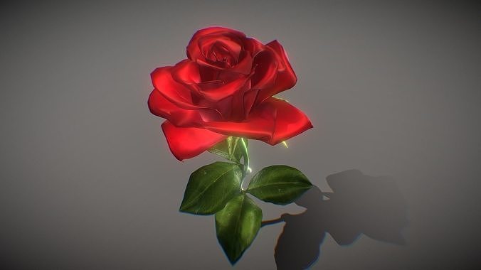 Rose 3D Model 3D model | CGTrader