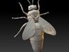 Queen bee 3D model 3D printable | CGTrader