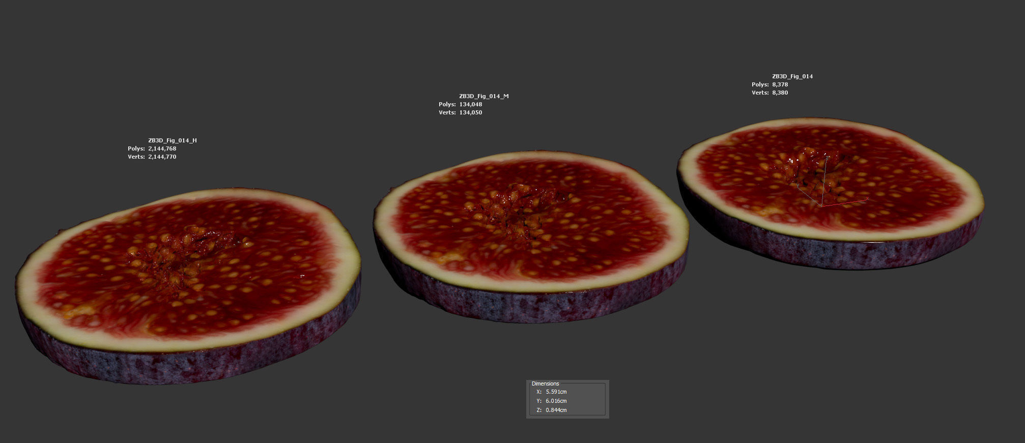 Fig 014 3D model | CGTrader