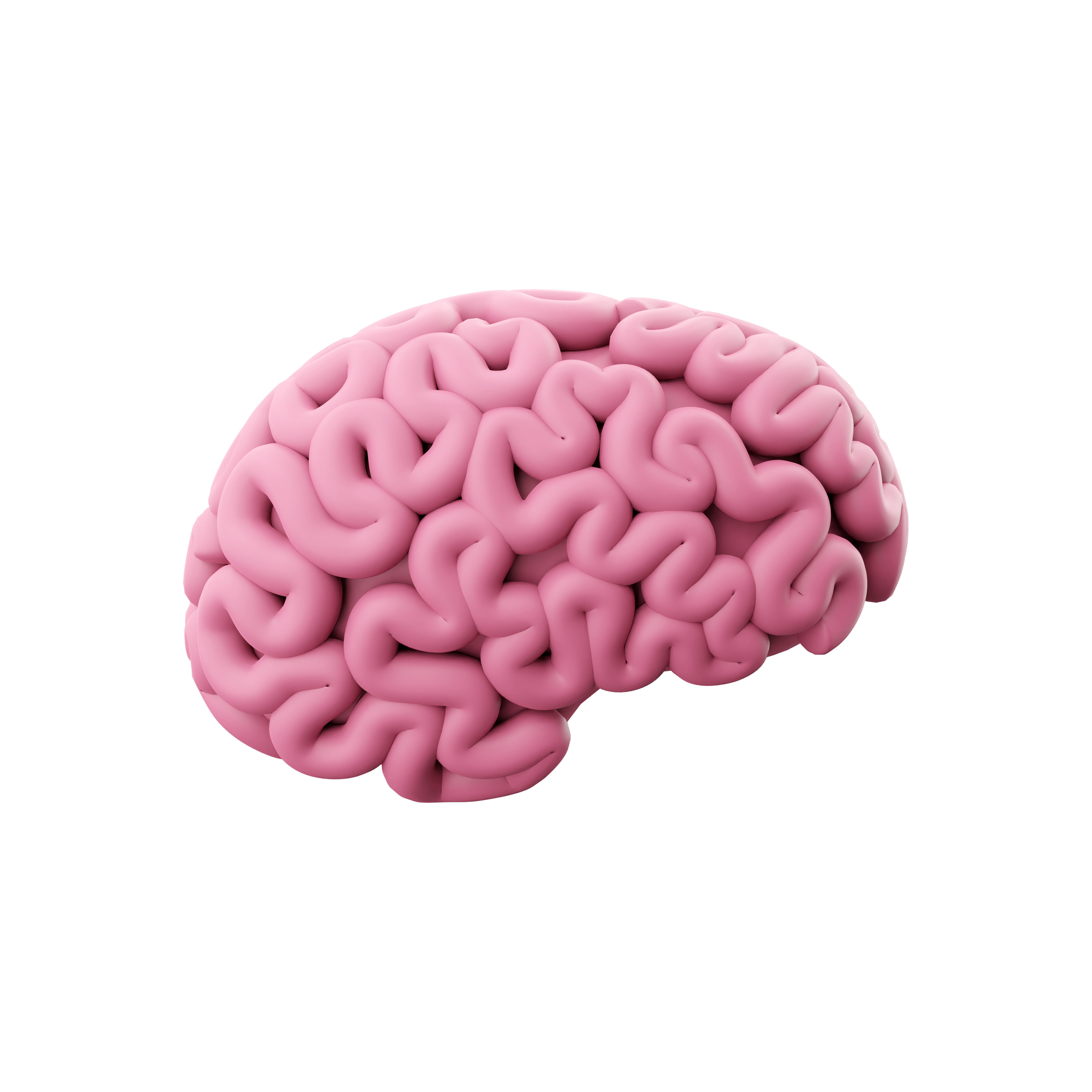 3d brain cartoon 3D model | CGTrader