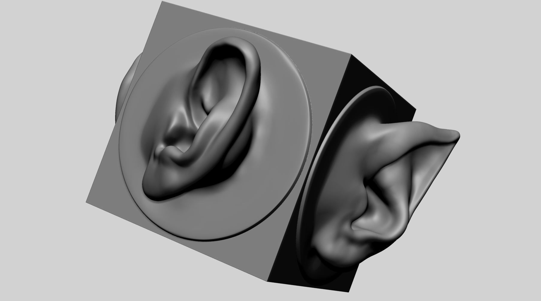 Ear models for 3DPrint 3D model 3D printable | CGTrader