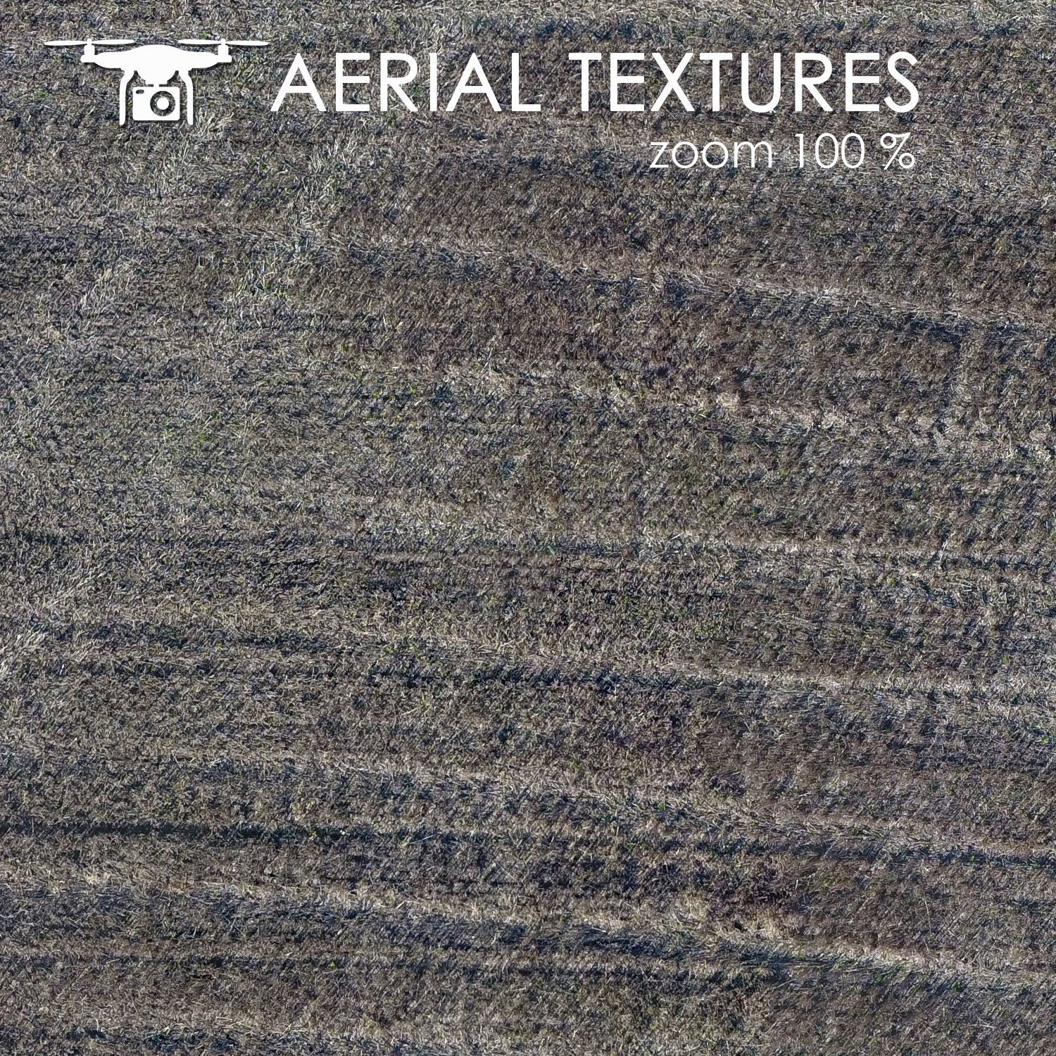 Field 337 Texture | CGTrader