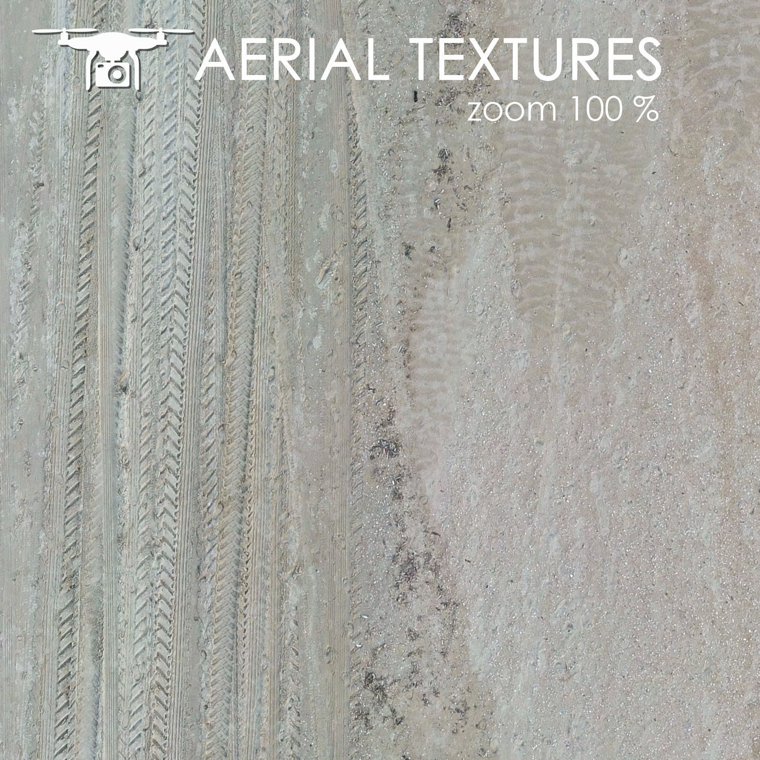 Sandy beach with algae 341 Texture | CGTrader