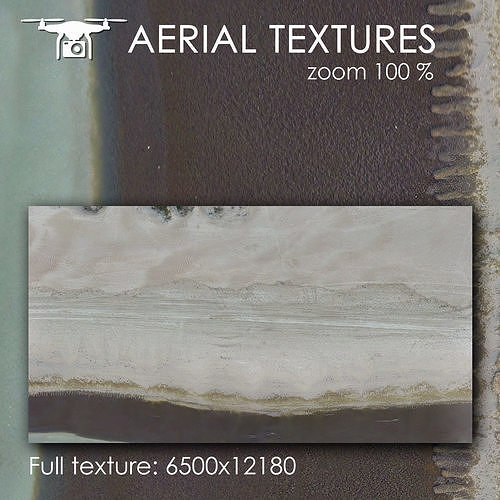 Sandy beach with algae 341 Texture | CGTrader