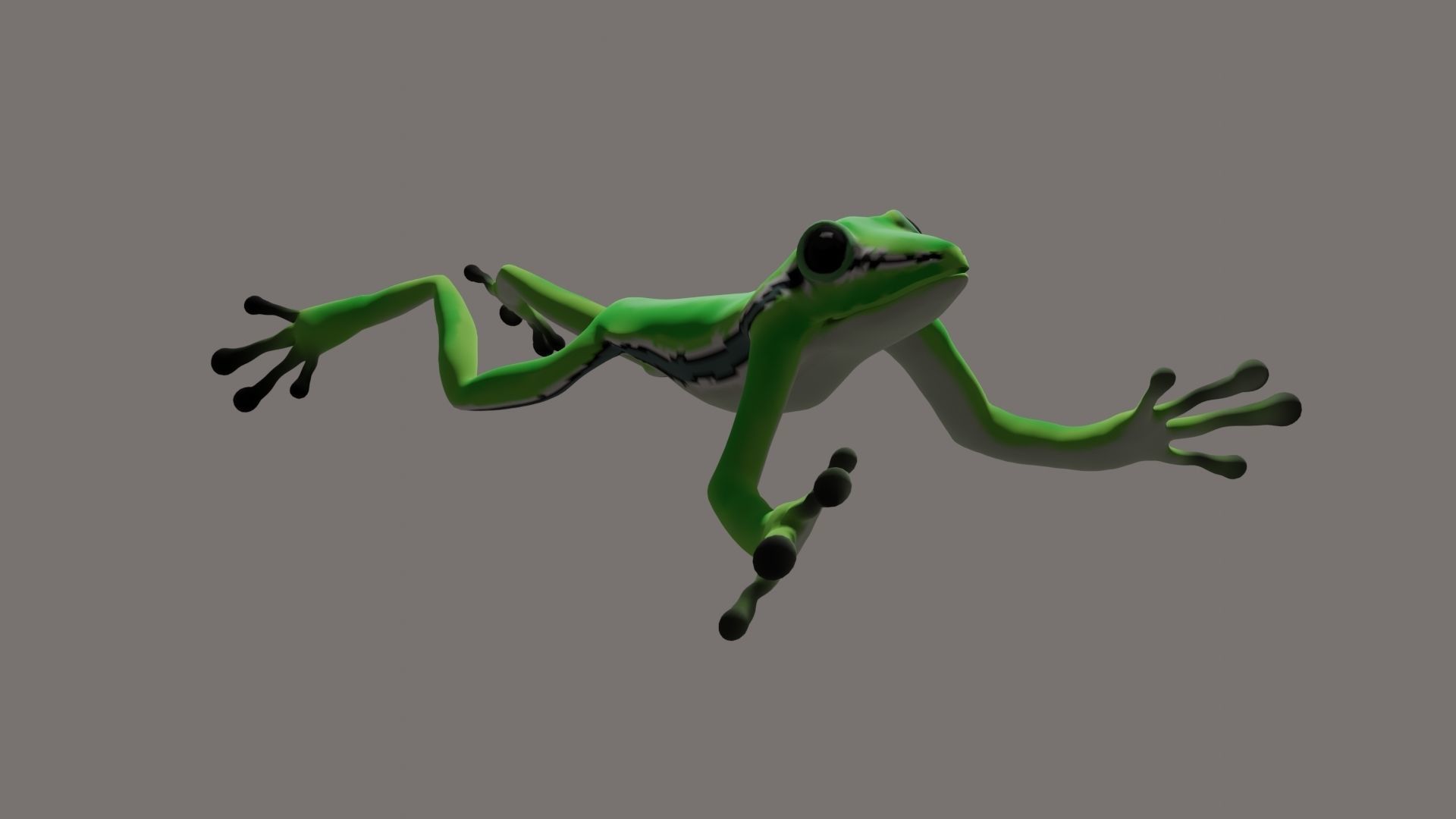 Poison Frog- Green tree frog 3D model | CGTrader