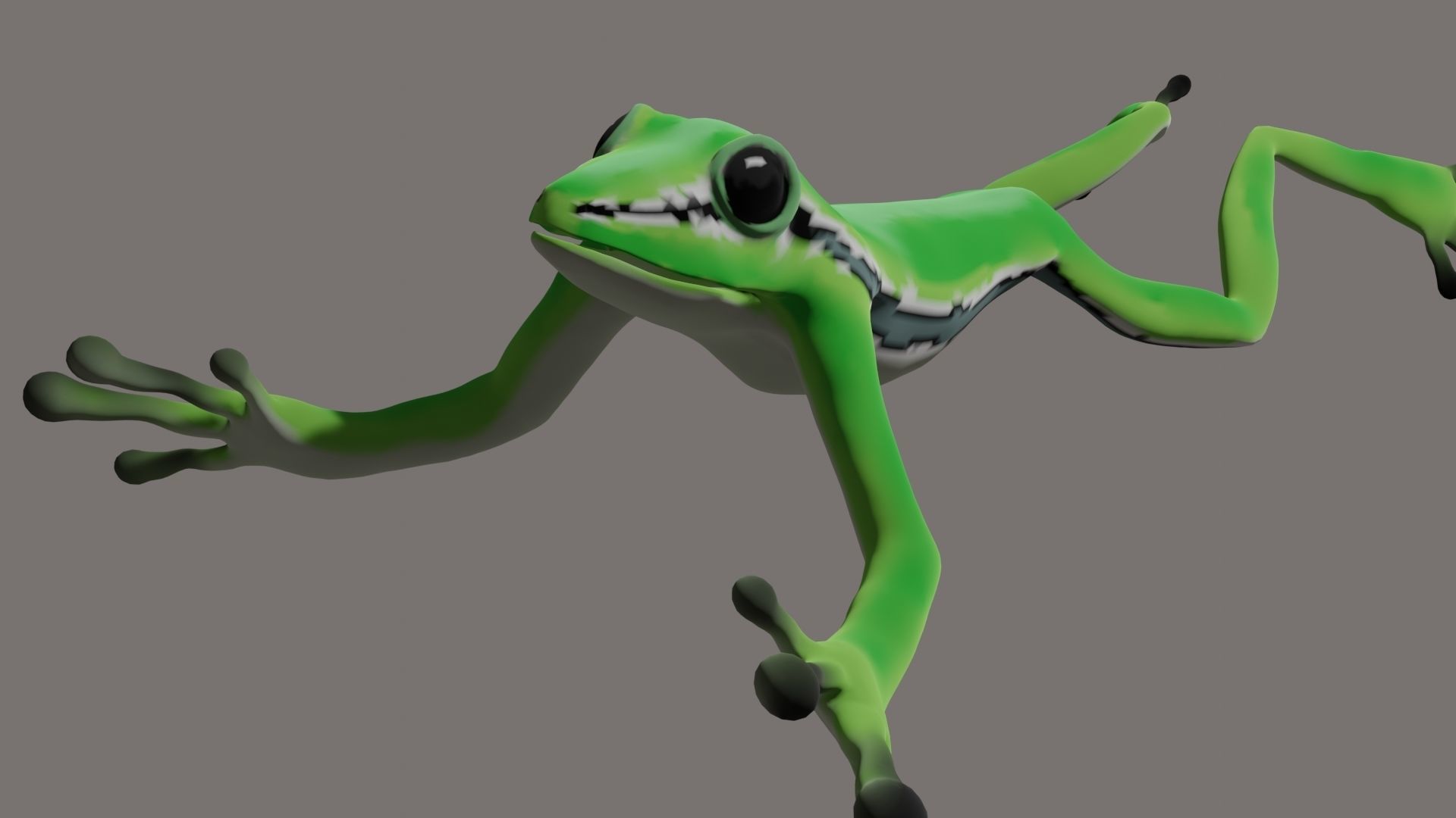 Poison Frog- Green tree frog 3D model | CGTrader