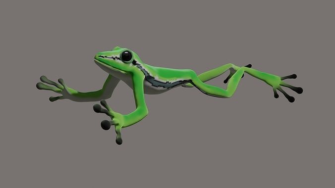 Poison Frog- Green tree frog 3D model | CGTrader