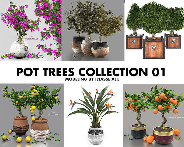 pot trees collection 01 3D model | CGTrader