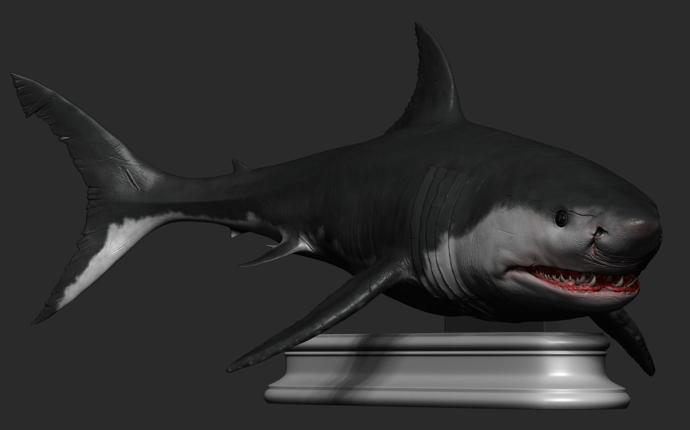 White Shark 3D model 3D printable | CGTrader