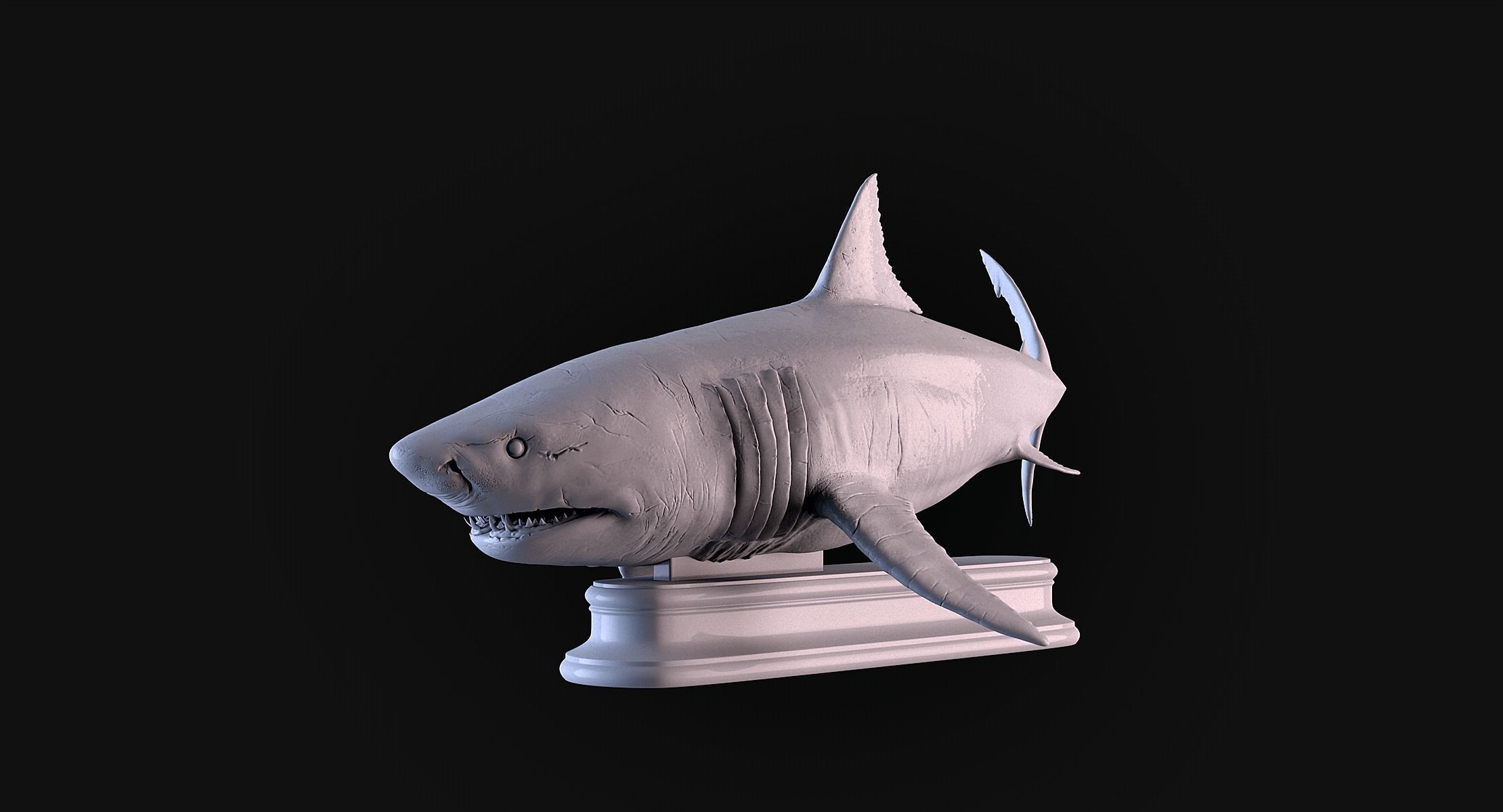 White Shark 3D model 3D printable | CGTrader