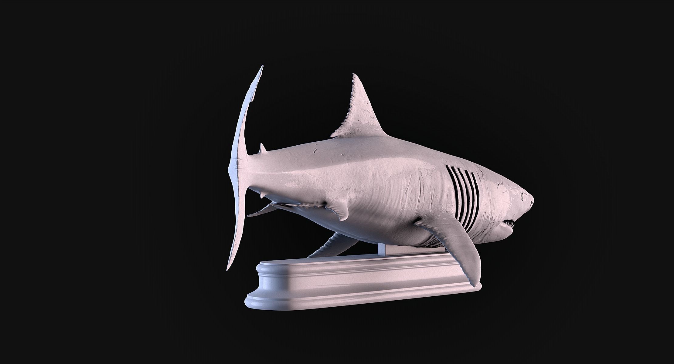 White Shark 3D model 3D printable | CGTrader
