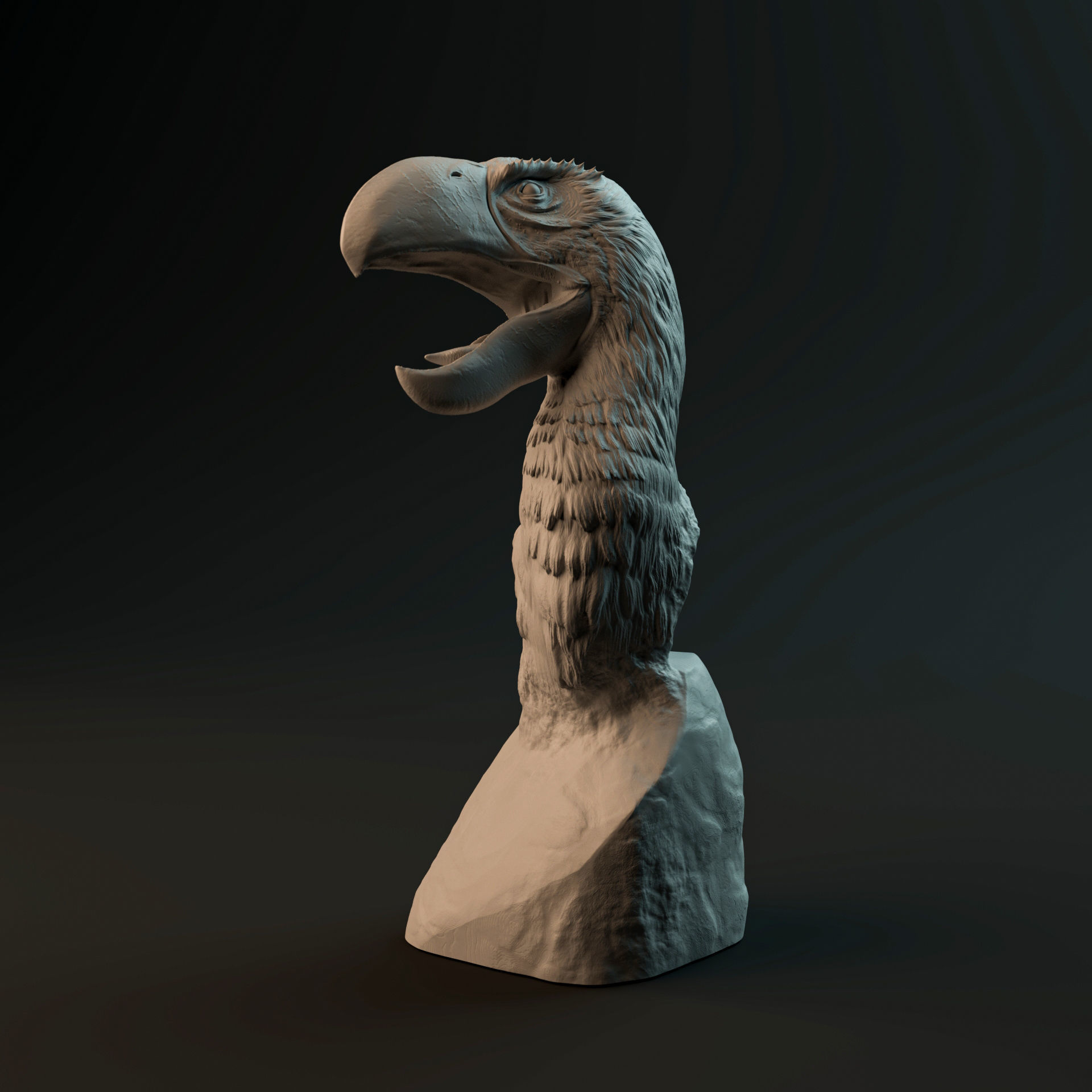 Brontornis bust - pre-supported prehistoric bird head 3D model 3D ...