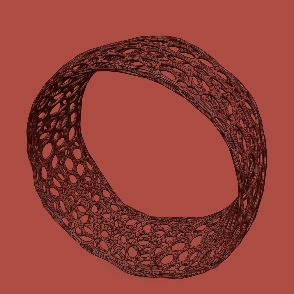 3D Printable Voronoi Double Shell rings 3D model 3D printable | CGTrader